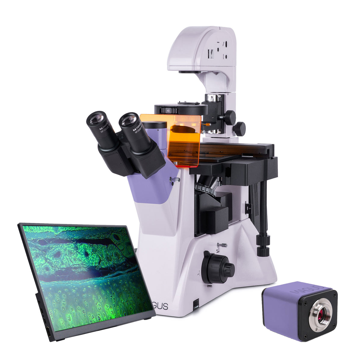 MAGUS Lum VD500 LCD Fluorescence Inverted Digital Microscope – Madeira ...